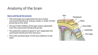 Anatomy of Brain CT and MRI of brain.pptx