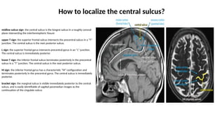 Anatomy of Brain CT and MRI of brain.pptx