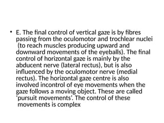 ANATOMY OF BRAINSTEM-DETAILED EXPLANATION.pptx