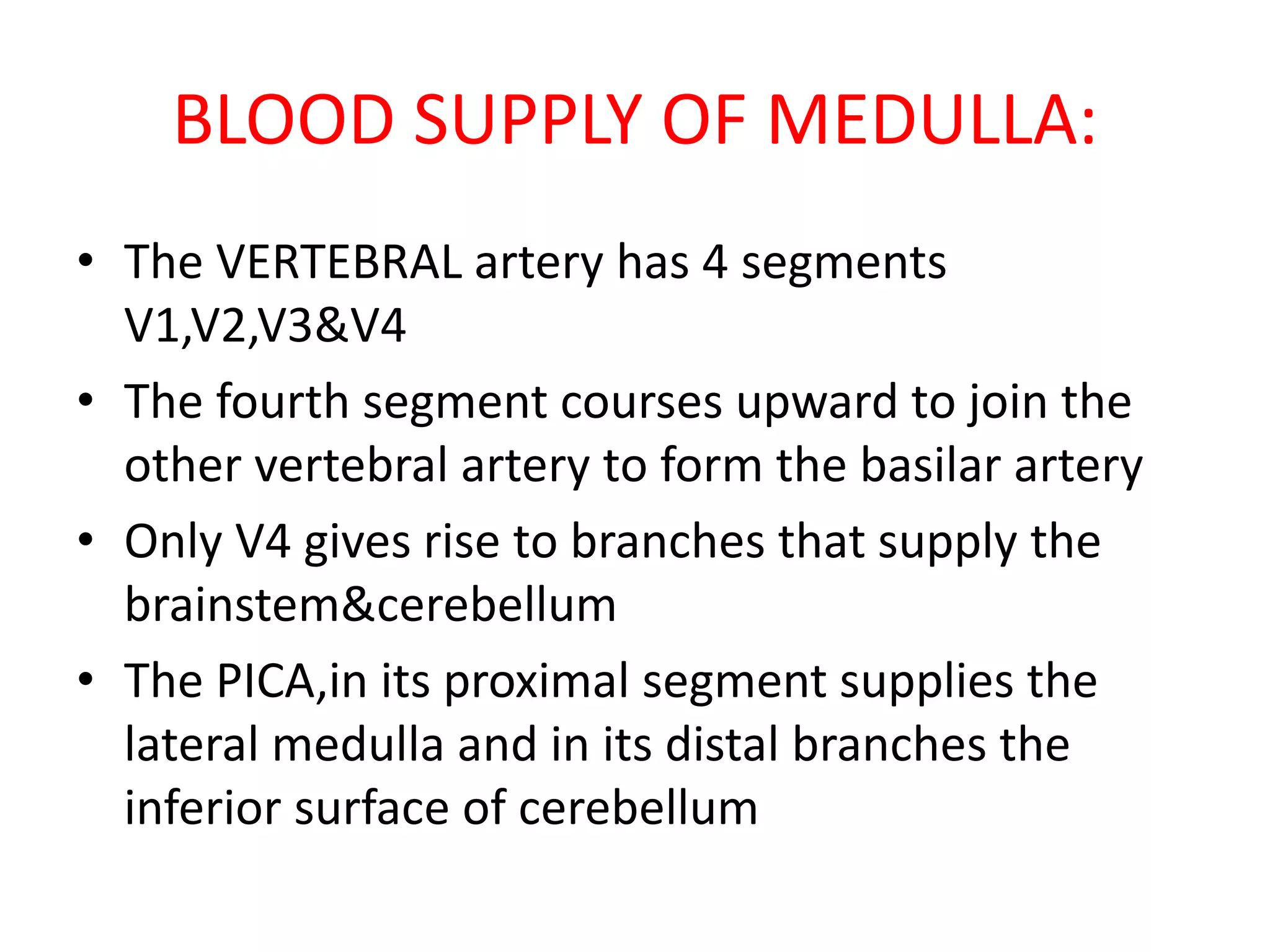 Anatomy of brainstem and its clinical significance | PPTX