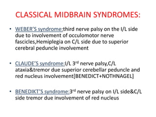 Anatomy of brainstem and its clinical significance | PPTX