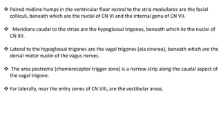anatomy of brainstem and related syndromes .pptx