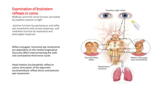 anatomy of brainstem and related syndromes .pptx
