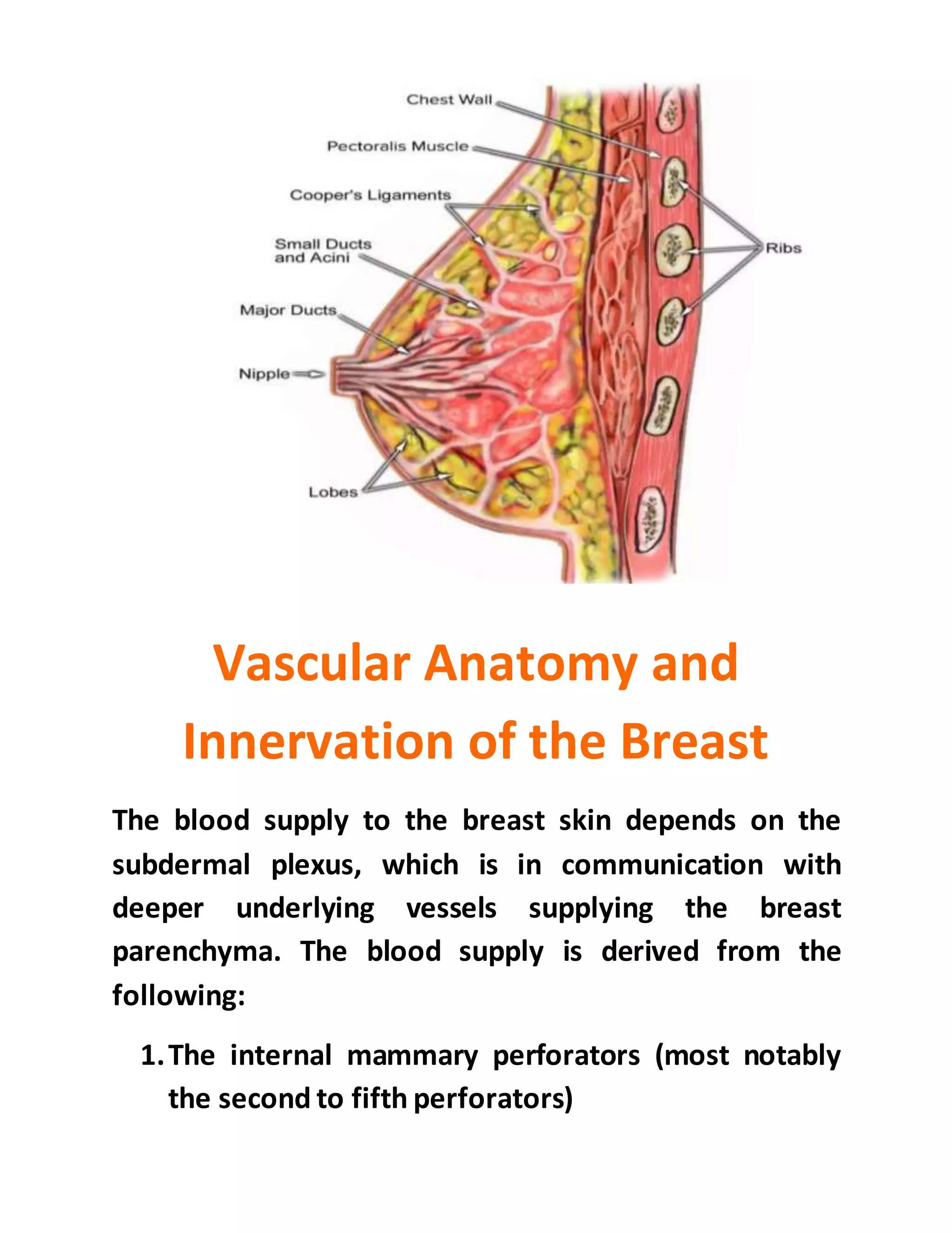 Anatomy of breast | DOC
