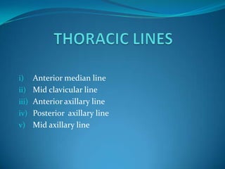 Anatomy of breast | PPTX | Cancer | Diseases and Conditions