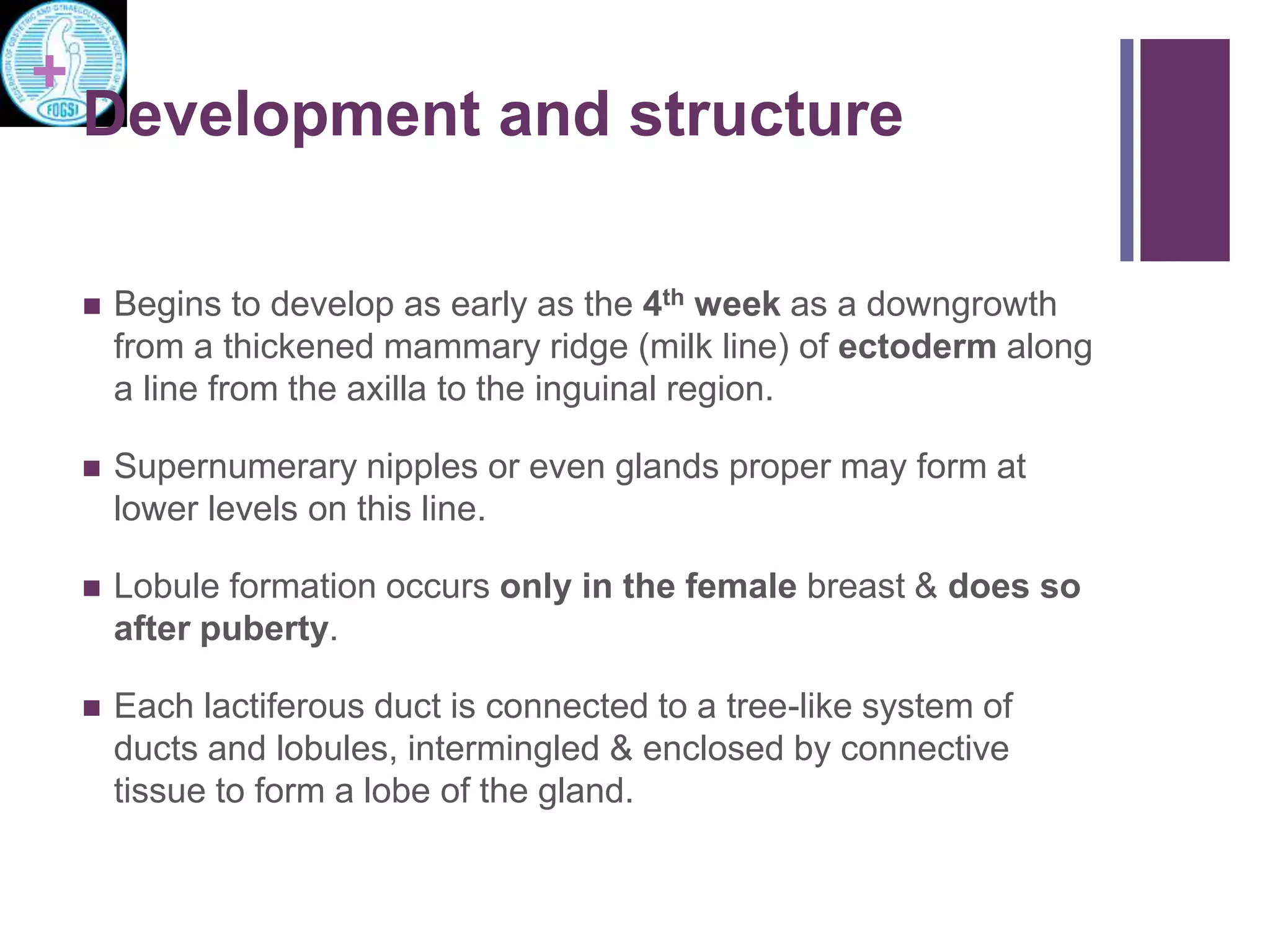 Anatomy of breast | PPTX