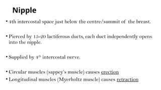 Anatomy of breast (1-30) gen surgery.pptx