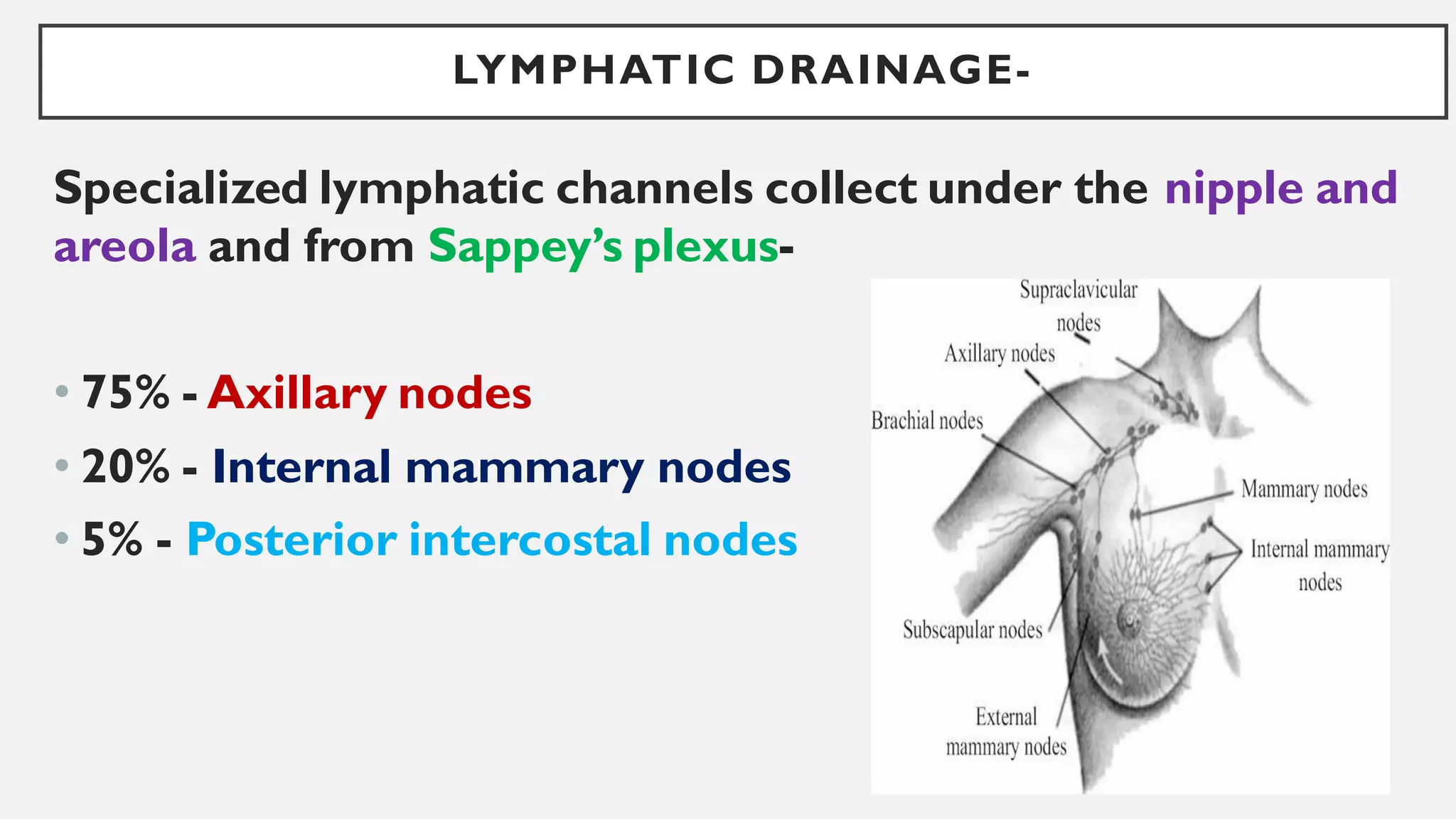 Anatomy of Breast (Brest Anatomy) .pdf