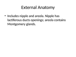 Anatomy_of_Breast_PPT anatomy of breast ppt | PPTX