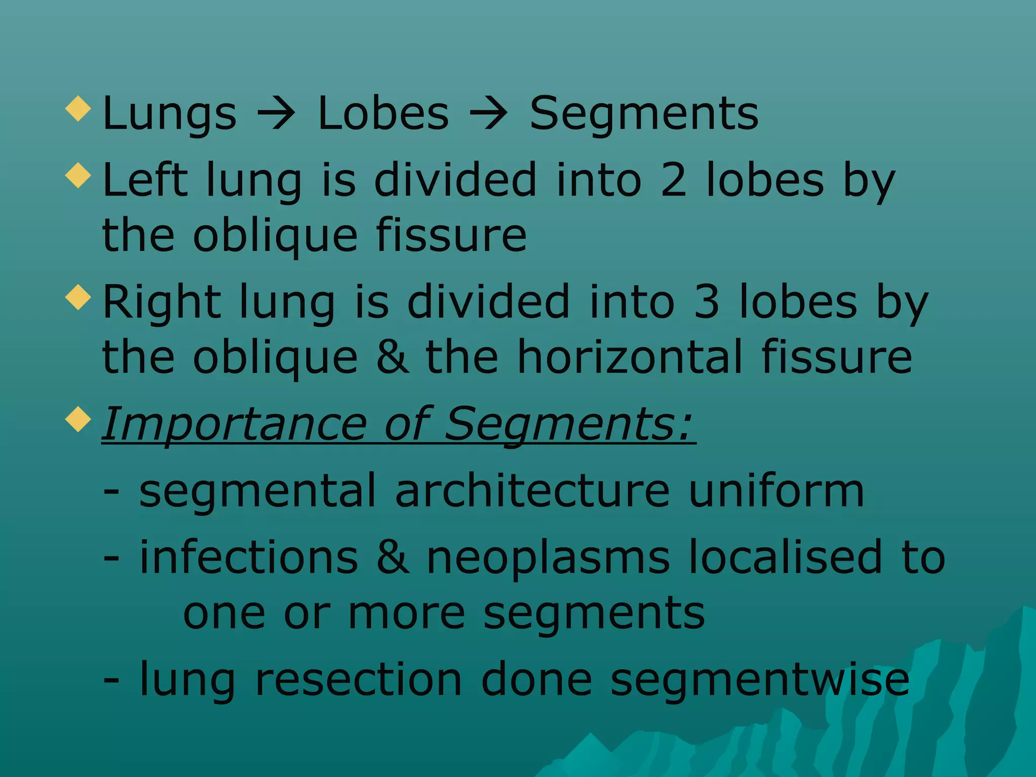 Anatomy of bronchial tree, lungs and pleura | PPT