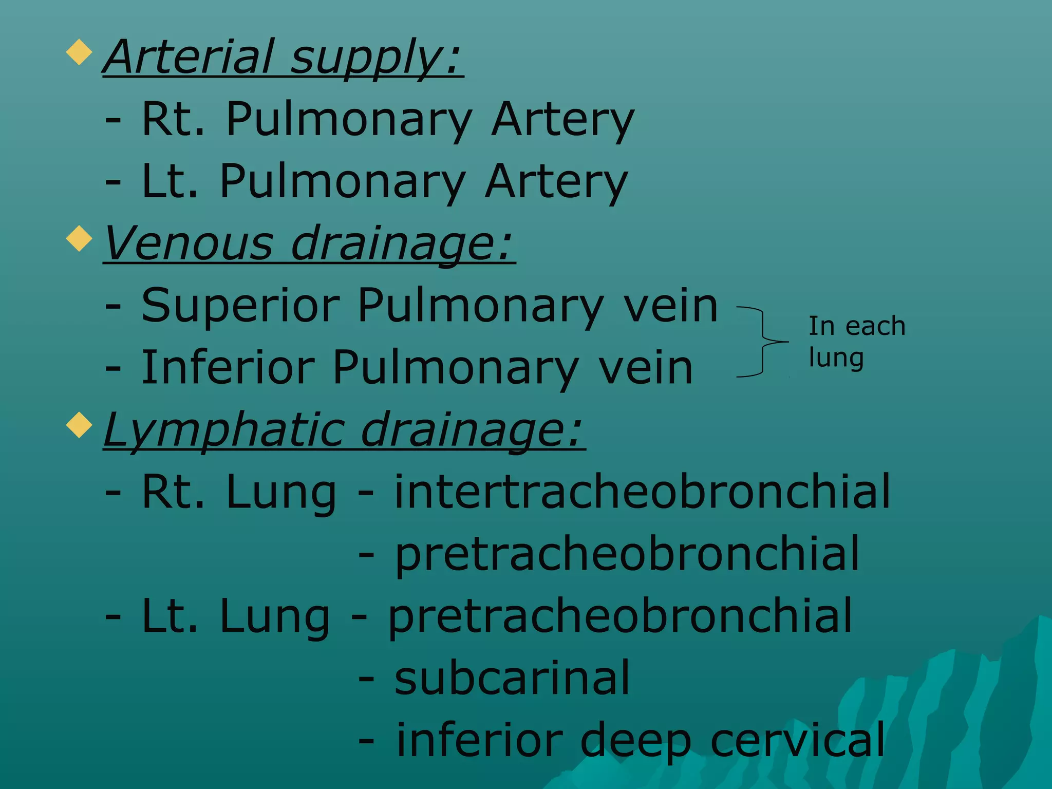 Anatomy of bronchial tree, lungs and pleura | PPT