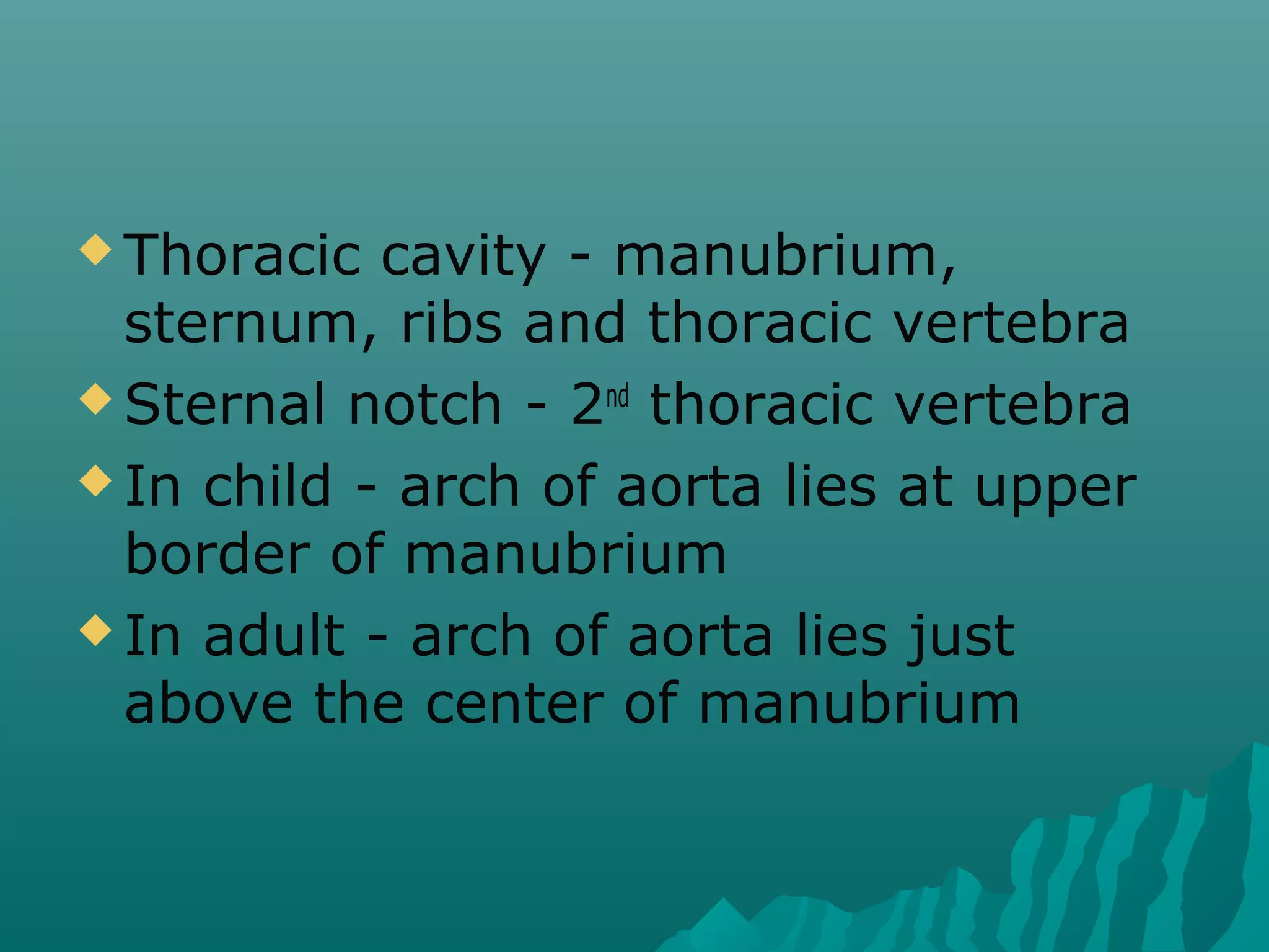 Anatomy Of Bronchial Tree Lungs And Pleura Ppt