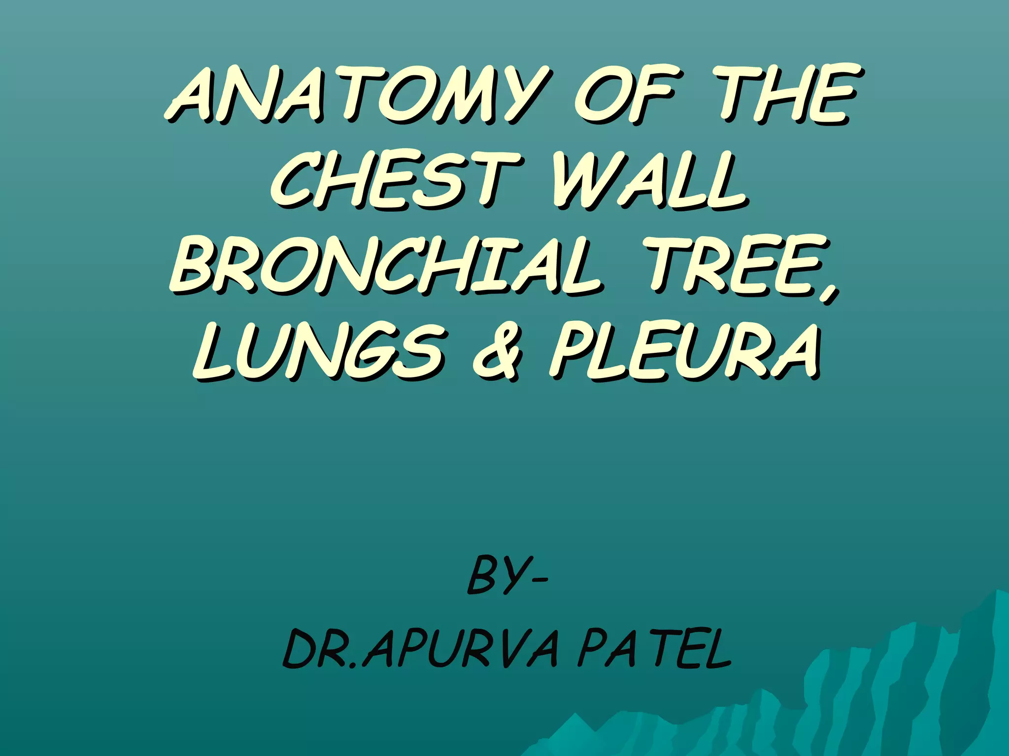 Anatomy of the Chest Wall, Bronchial Tree, Lungs & Pleura | PPT