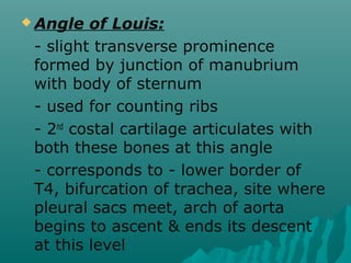 Anatomy of bronchial tree, lungs and pleura | PPT