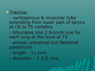 Anatomy of bronchial tree, lungs and pleura | PPT