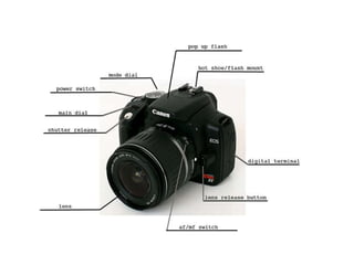 Anatomy of camera | PPT