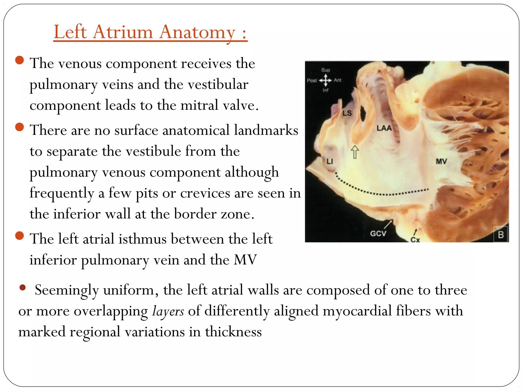 Anatomy of cardiac structures & conducting system in | PPT