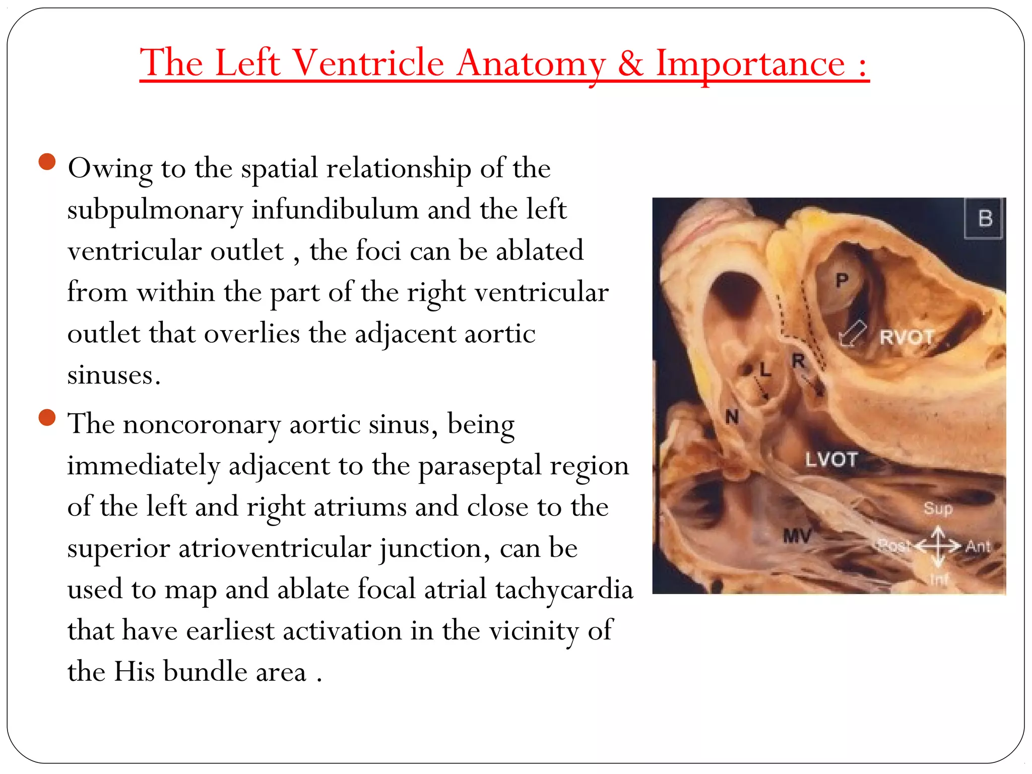 Anatomy of cardiac structures & conducting system in | PPT