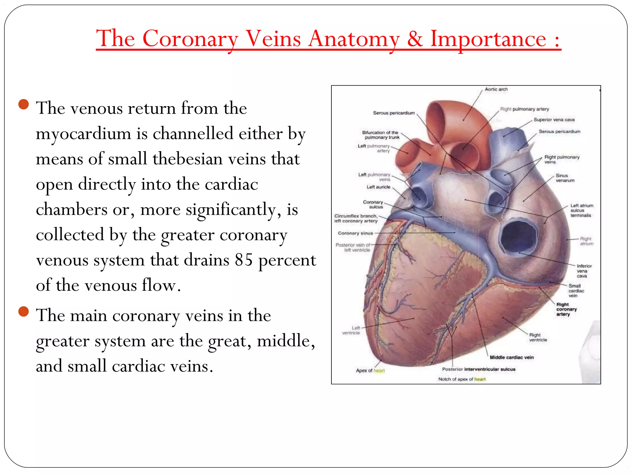 Anatomy of cardiac structures & conducting system in | PPT