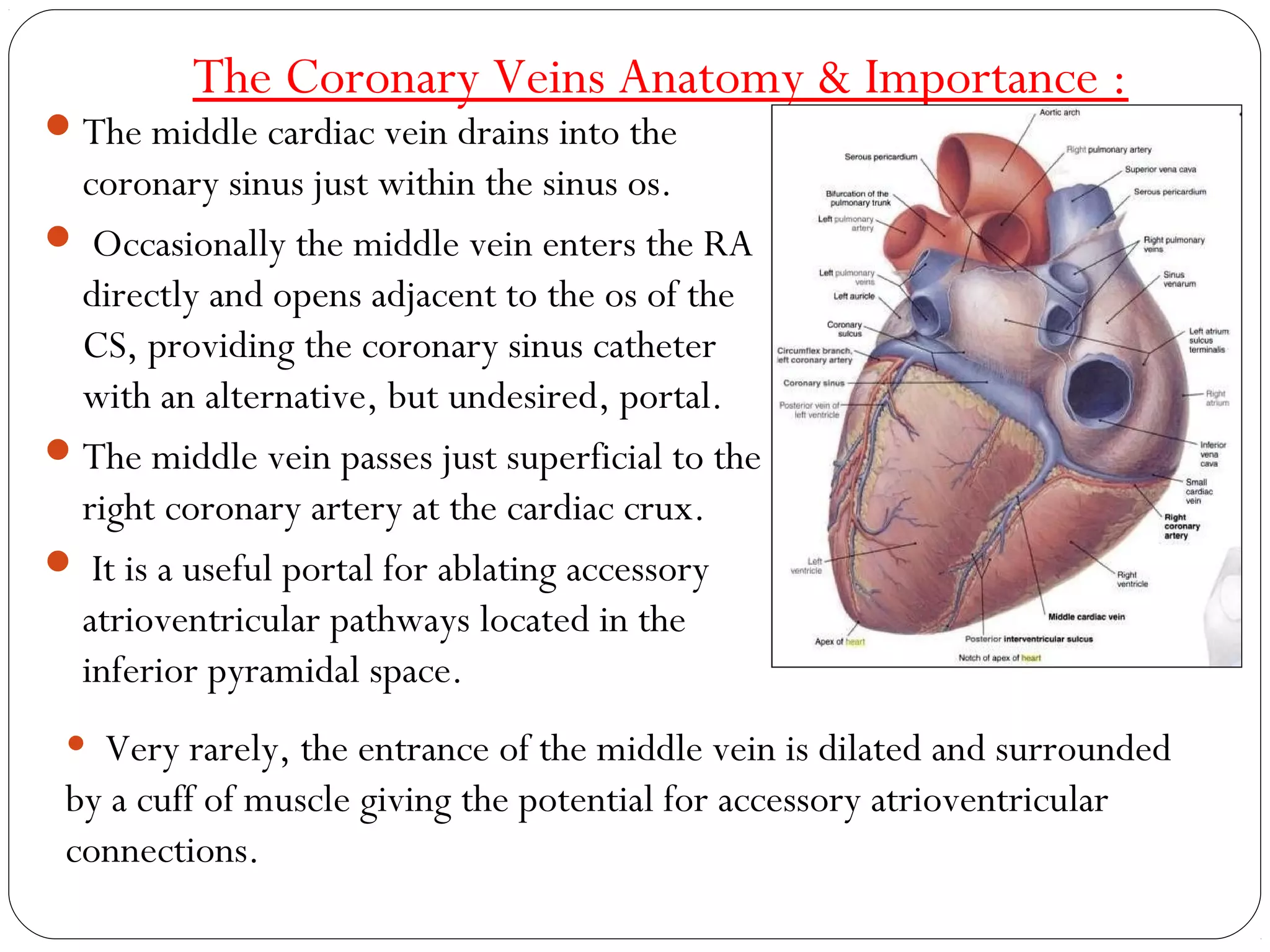 Anatomy of cardiac structures & conducting system in | PPT