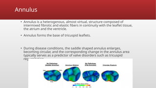 Anatomy of Cardiac Valves.pptx1234123412 | PPT