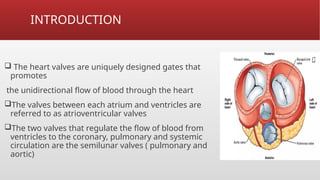 Anatomy of Cardiac Valves.pptx1234123412 | PPTX