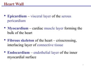 Anatomy of cardiovascular system | PPT
