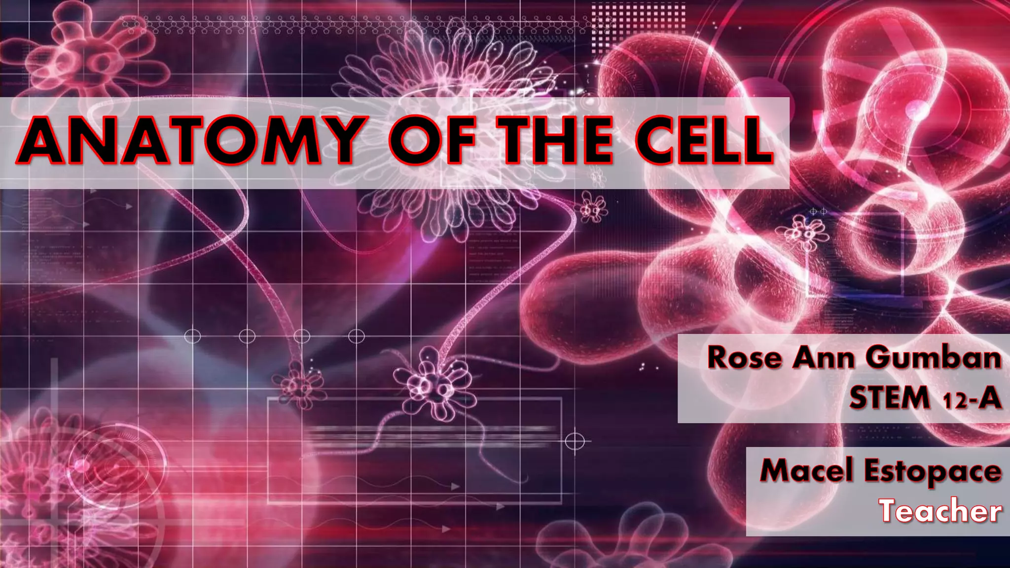 Anatomy of a Cell | PPTX