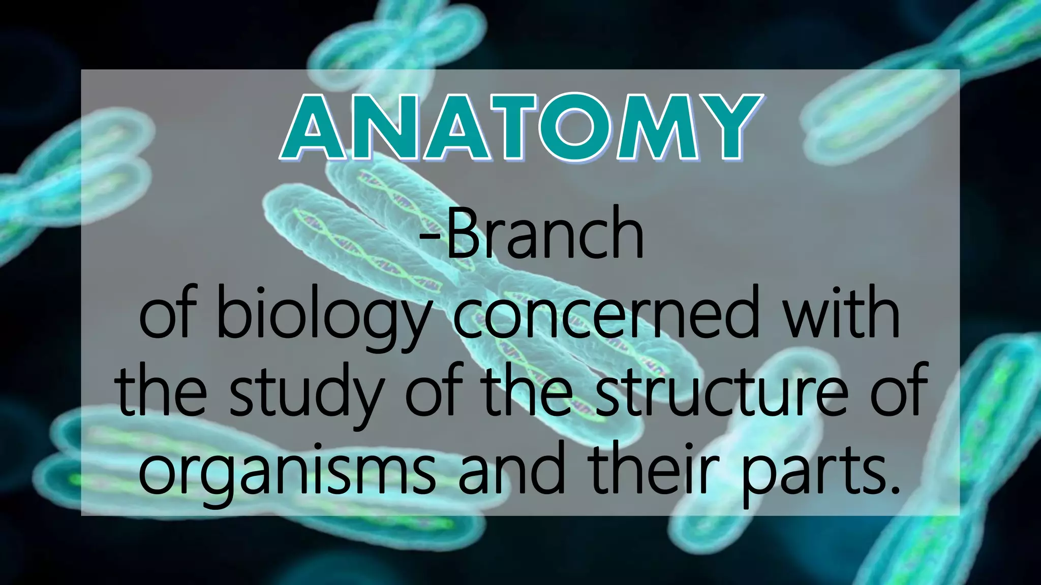 Anatomy of a Cell | PPT