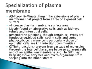 ANATOMY OF CELL.pptx