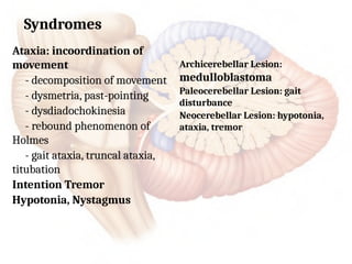 neurological anatomy of cerebellum. ppt | PPTX