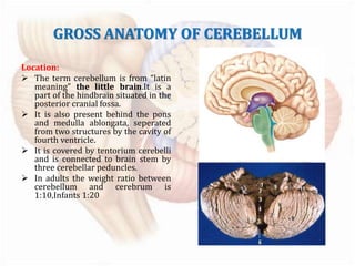 Cerebellar Peduncles Anatomy