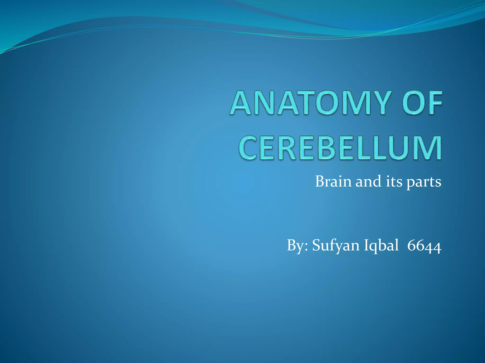 Anatomy of cerebellum | PPTX