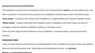 ANATOMY OF CEREBELLUM and its important.pptx
