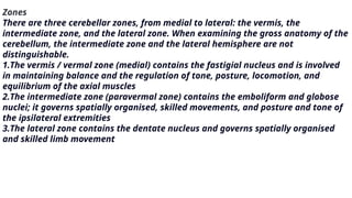 ANATOMY OF CEREBELLUM and its important.pptx