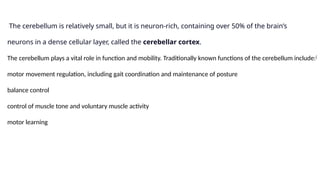 ANATOMY OF CEREBELLUM and its important.pptx