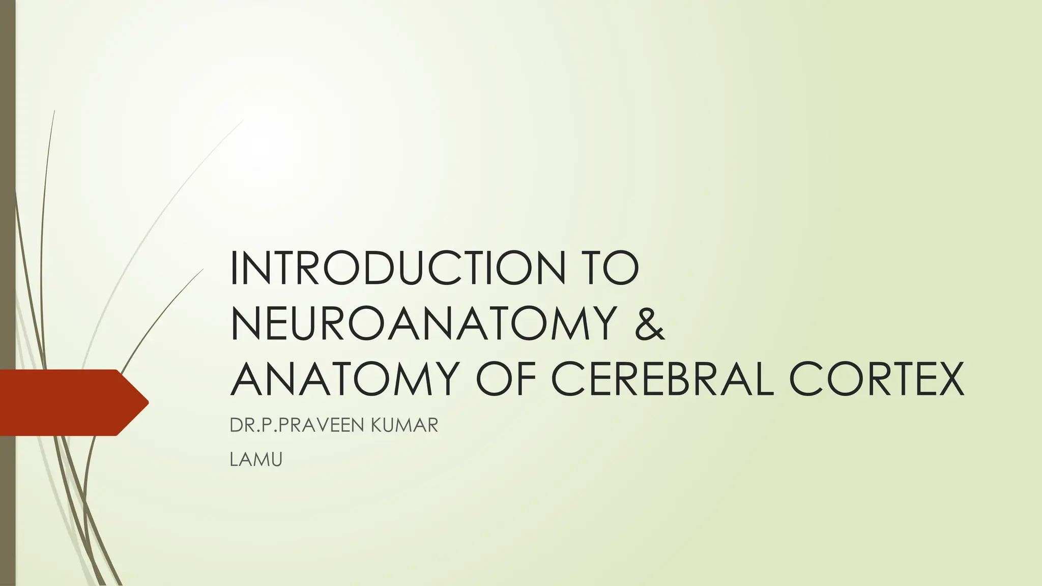 ANATOMY OF CEREBRAL CORTEX LEVY MWANAWASA MEDICAL UNIVERSITY | PPT