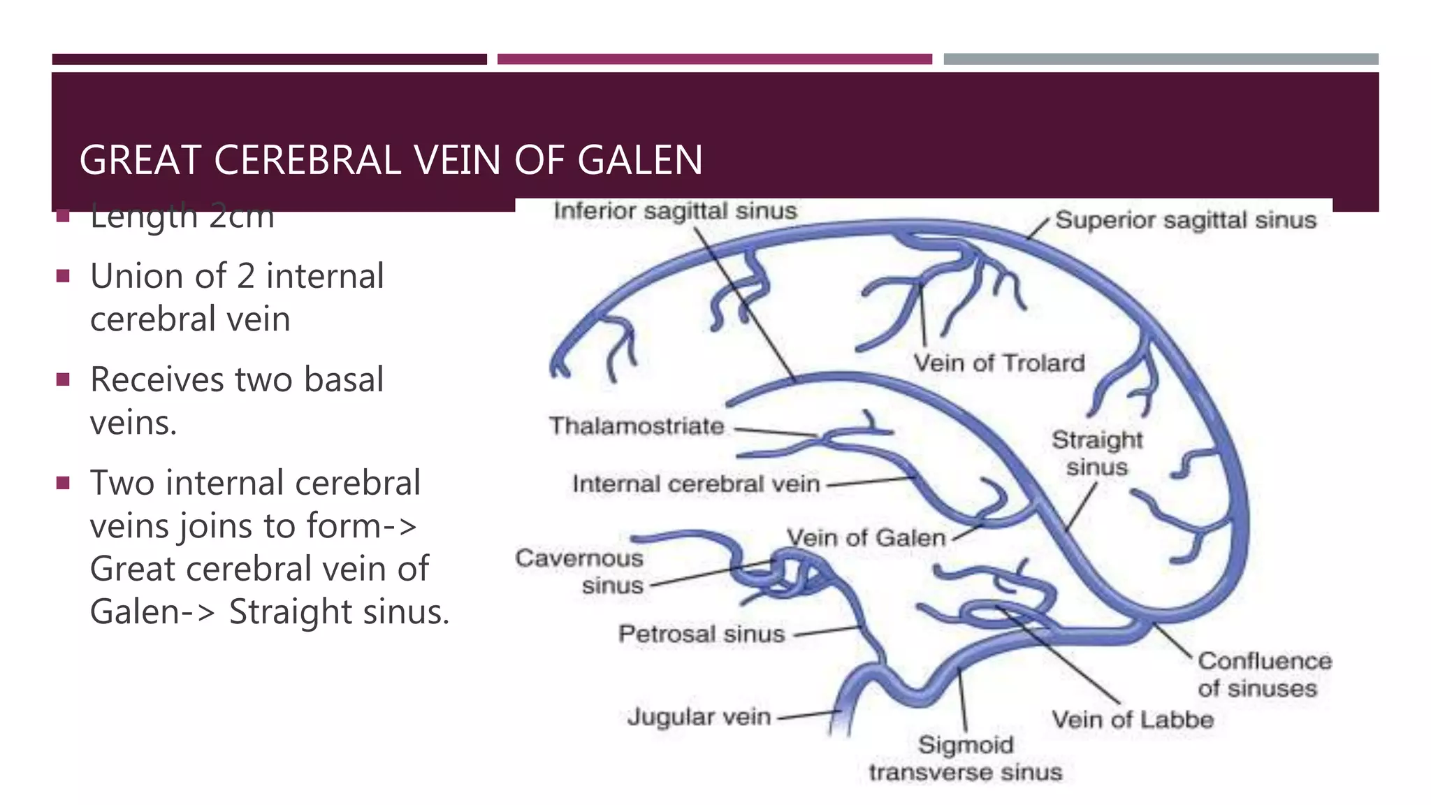 Anatomy of cerebral veins | PPTX