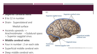 Anatomy of cerebral veins | PPTX