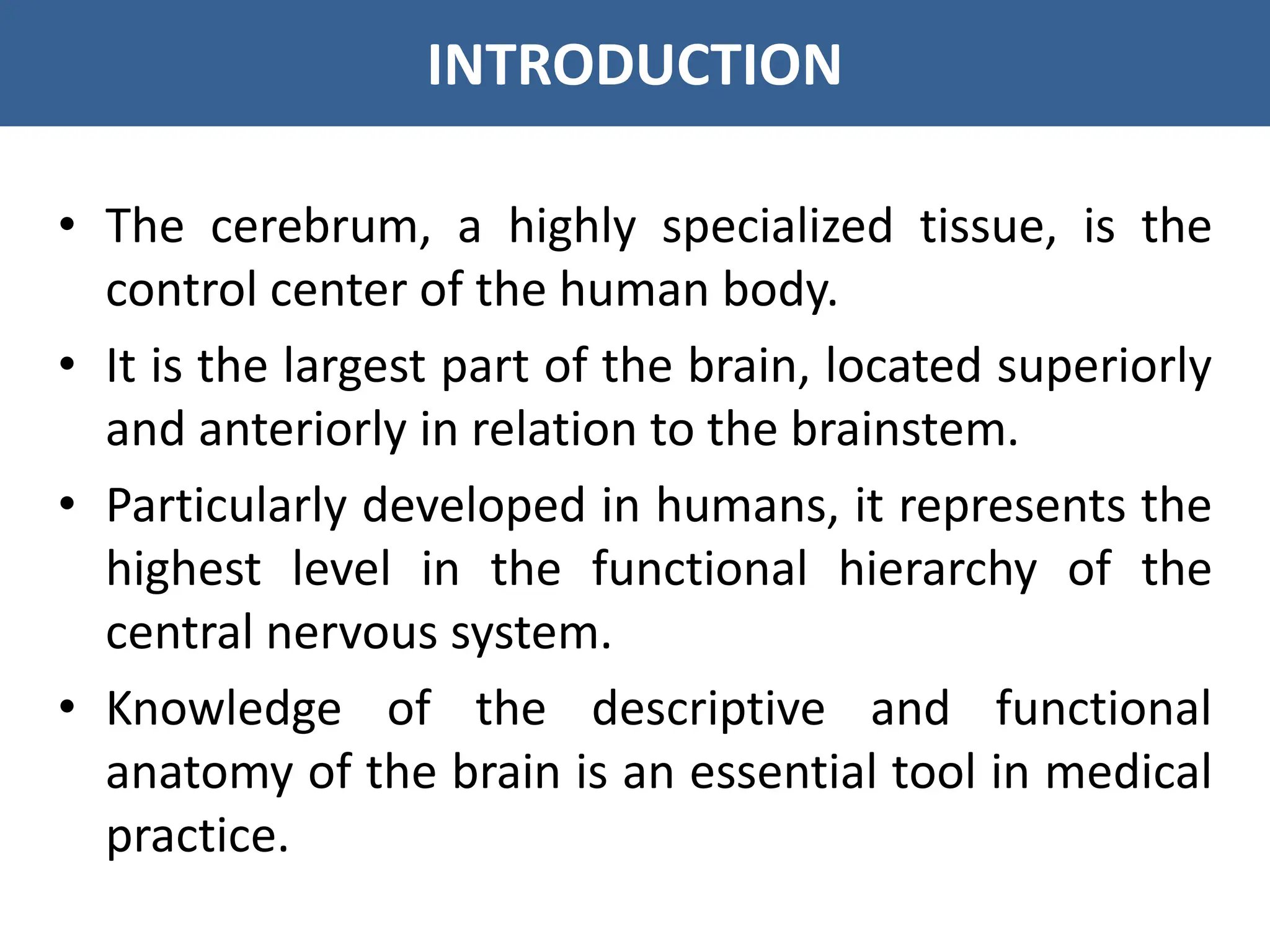 ANATOMY+OF+CEREBRUM.pdf ANATOMY+OF+CEREBRUM.pdf