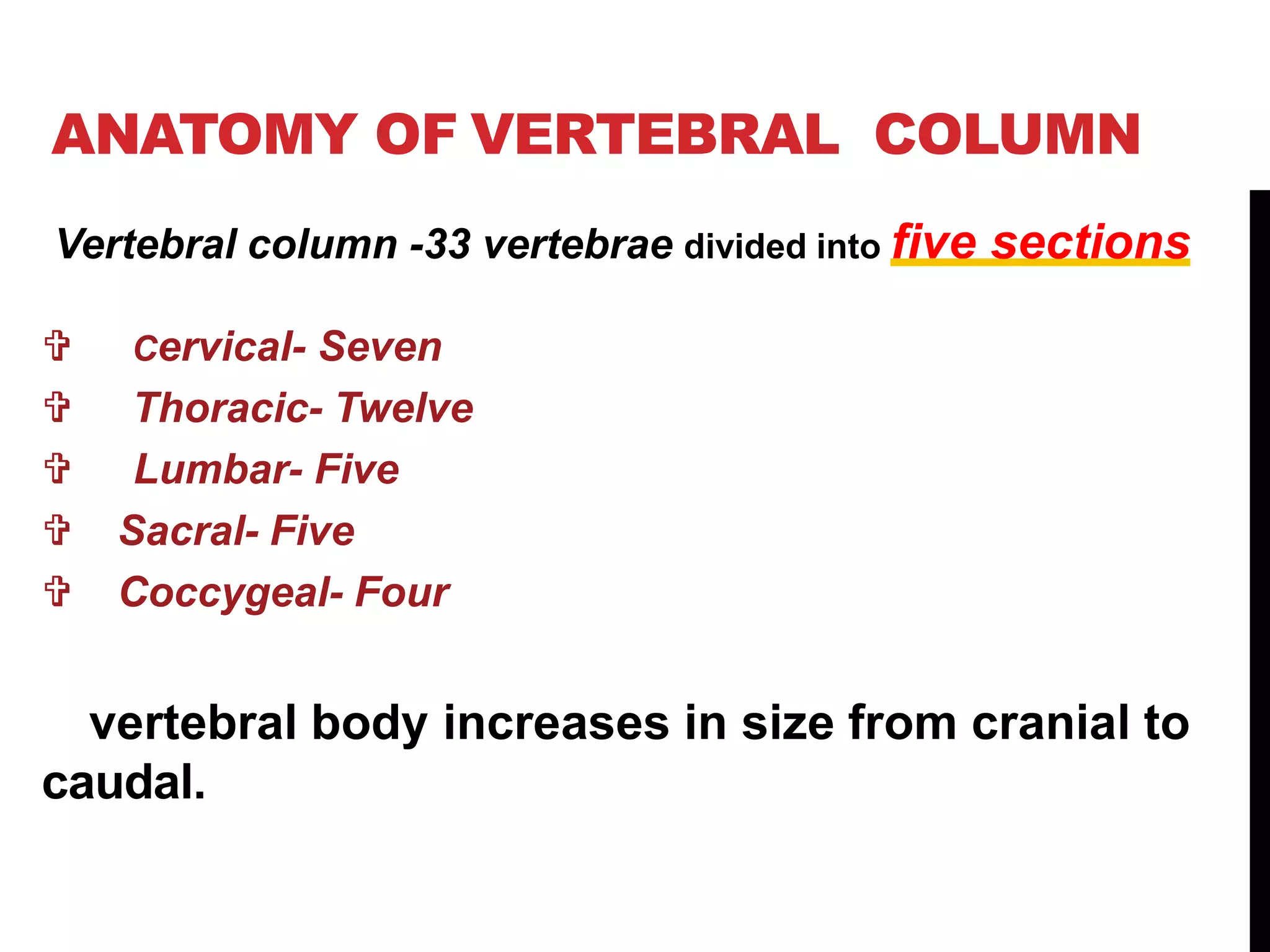 Anatomy Of Cervical Spine Ppt