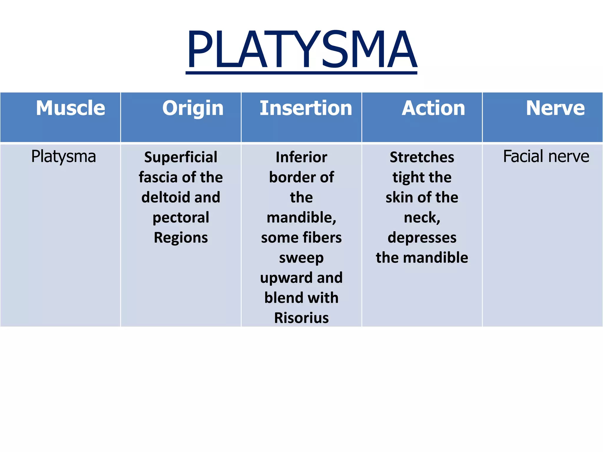 Anatomy of cervical spine | PPTX