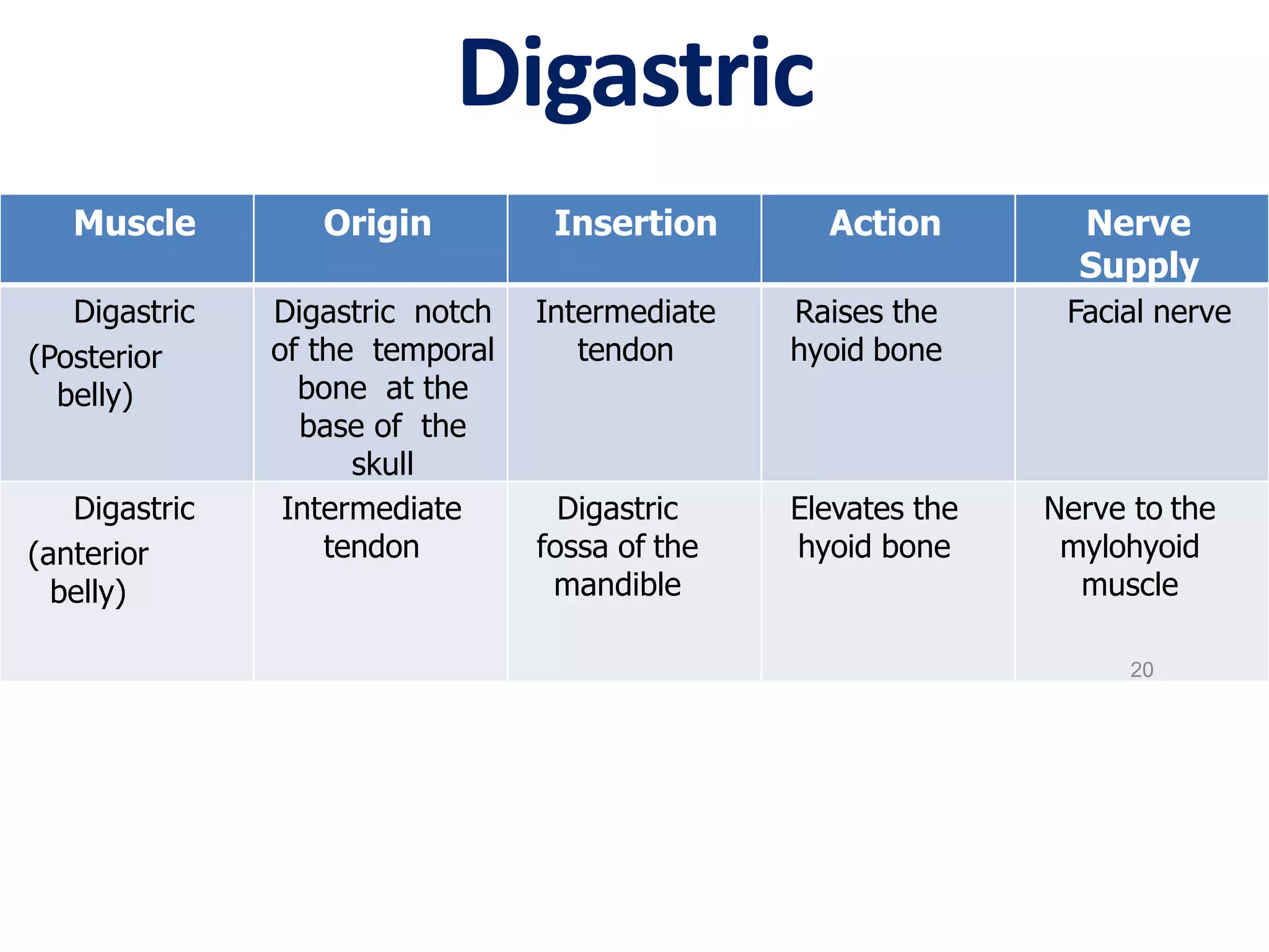 Anatomy of cervical spine | PPTX