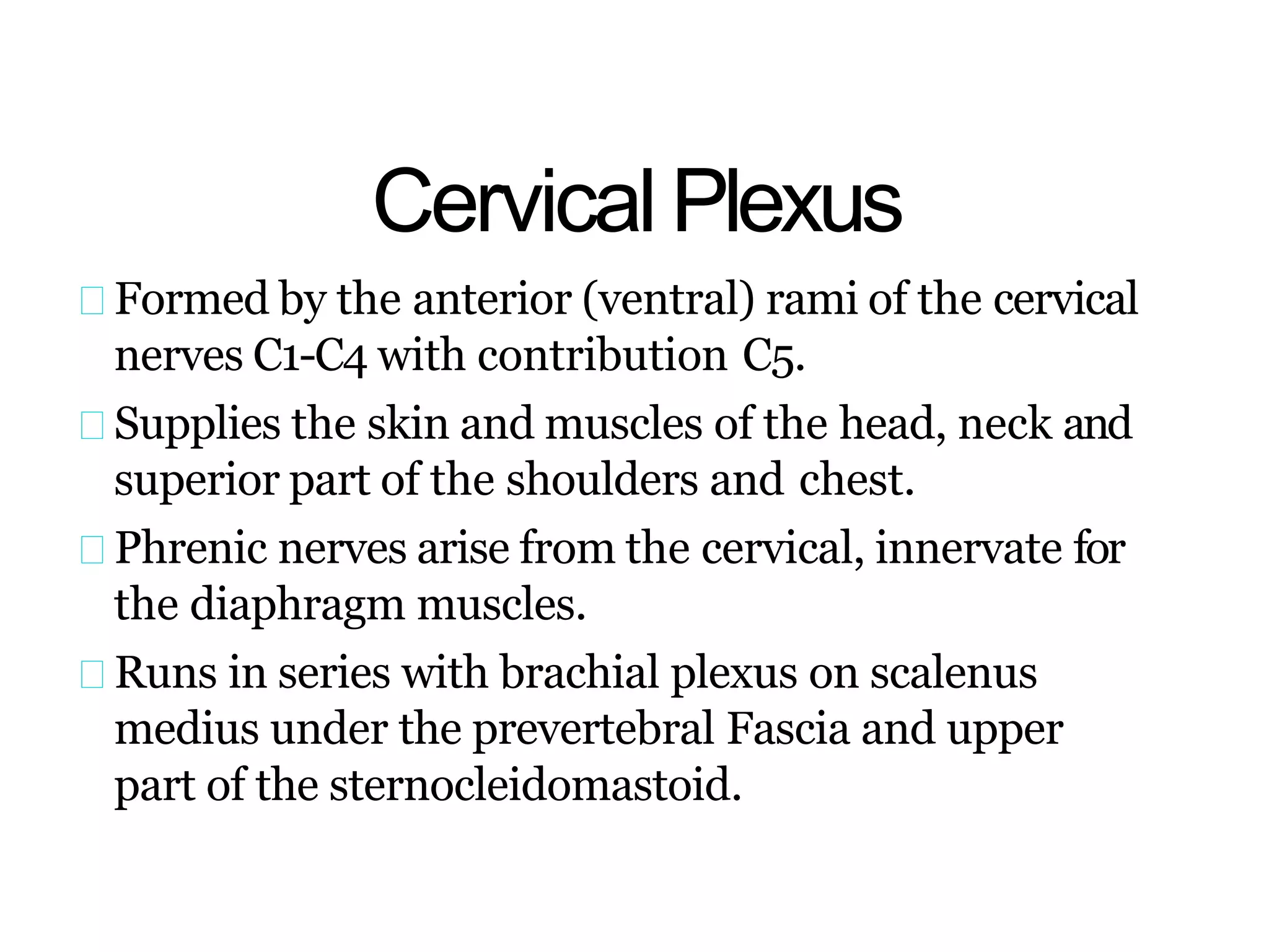 Anatomy of cervical spine | PPTX