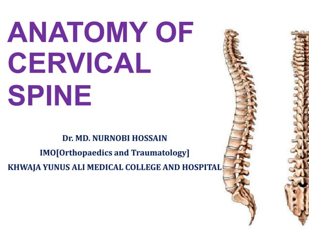 Anatomy of cervical spine | PPTX