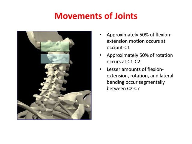 Anatomy of cervical spine | PPTX