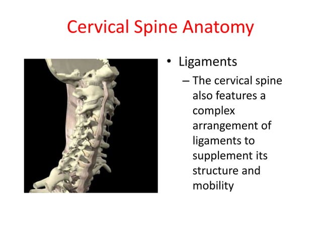 Anatomy of cervical spine | PPTX
