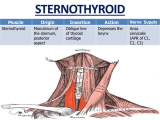 Anatomy of cervical spine | PPTX