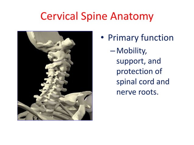 Anatomy of cervical spine | PPTX