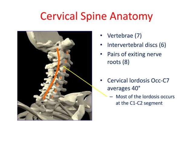 Anatomy of cervical spine | PPTX